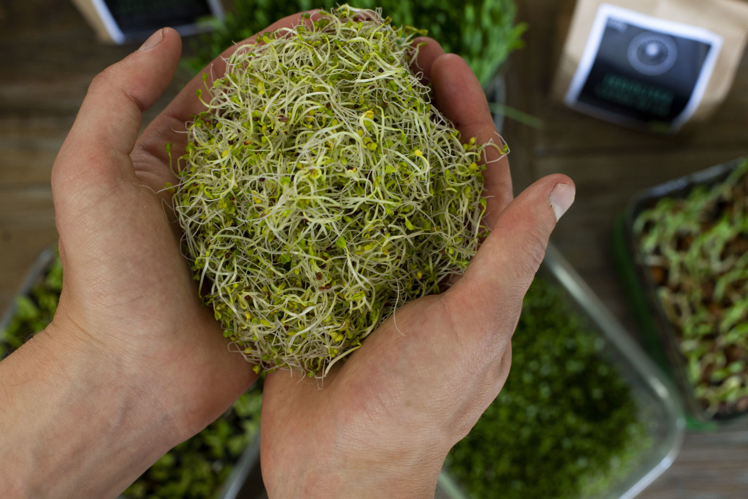 Odla groddar och skott - Sproutly