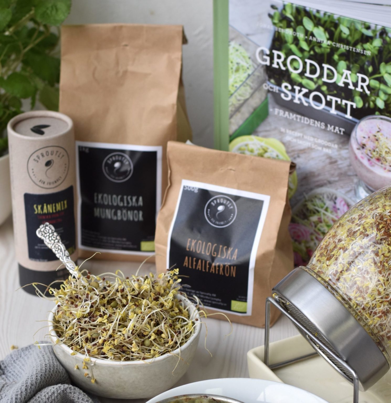 Groddar och Skott - Framtidens mat - Sproutly