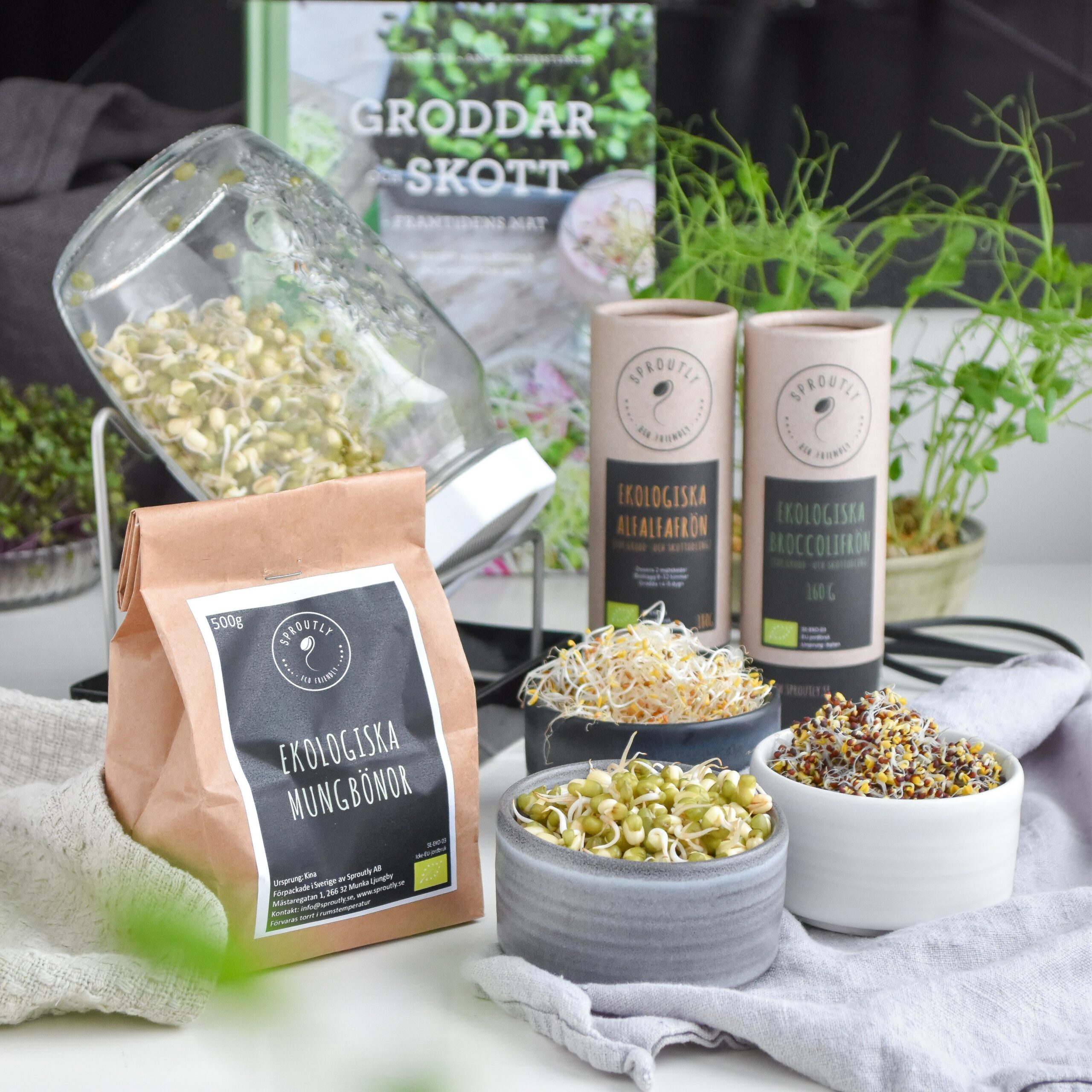 Odla groddar och skott - Sproutly